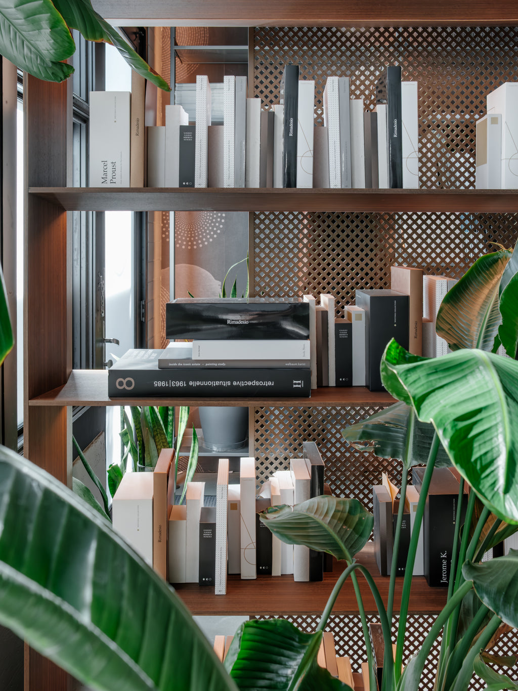 Ava | Bookshelf My Molteni&C available at Rifugio Modern