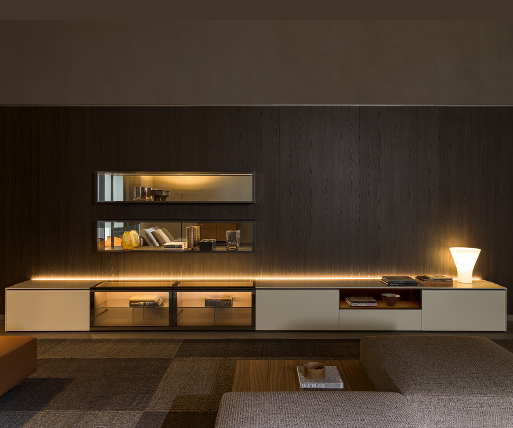 Pass World Evolution | Custom Bookshelves and Multimedia My Molteni&C ...